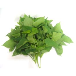 YAM LEAF / LB