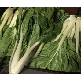 LONG BOK CHOY
