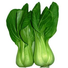 Shanghai Bok Choy / LB