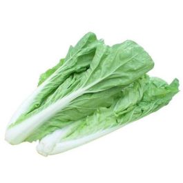 SWEET BOK CHOY / LB