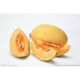 XINJIANG HONEY DEW MELON