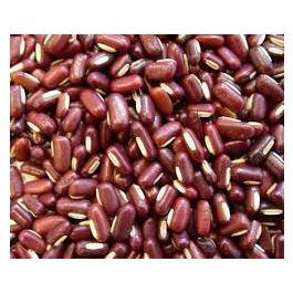 SINBO - DRIED SMALL RED BEAN